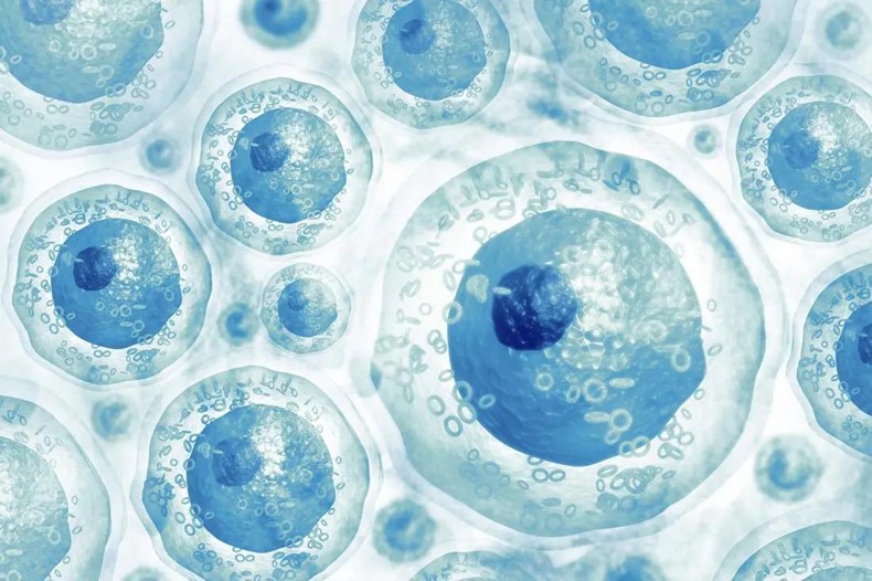 Navigating the Landscape of Advanced Stem Cell Therapy in Dubai